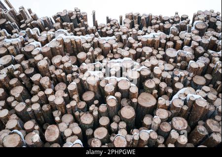 Pine logs stacked at lumber mill in Ontario, Canada Stock Photo - Alamy