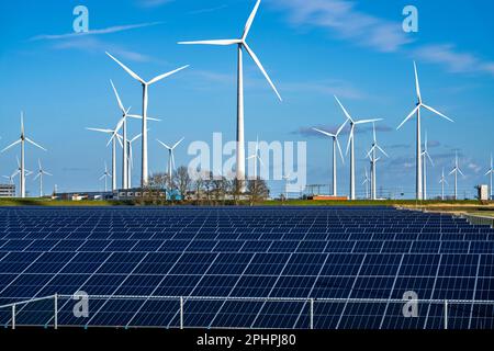 Vopak Solarpark Eemshaven, 19 hectares of solar modules with a capacity ...