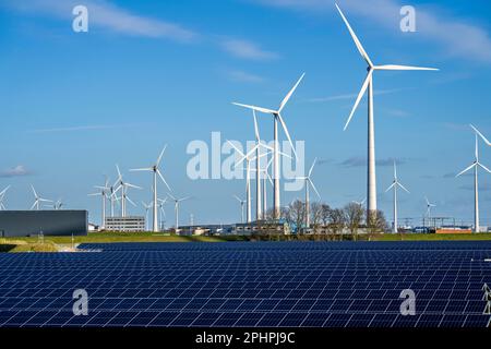 Vopak Solarpark Eemshaven, 19 hectares of solar modules with a capacity ...
