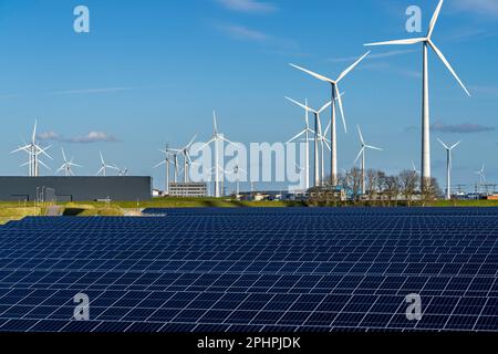 Vopak Solarpark Eemshaven, 19 hectares of solar modules with a capacity ...