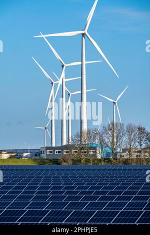Vopak Solarpark Eemshaven, 19 hectares of solar modules with a capacity ...