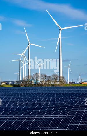 Vopak Solarpark Eemshaven, 19 hectares of solar modules with a capacity ...