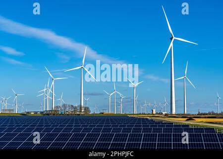 Vopak Solarpark Eemshaven, 19 hectares of solar modules with a capacity ...