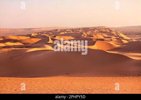 Sculpted sand dunes, Wahiba Sands, Ash Sharqiyah, Oman Stock Photo - Alamy