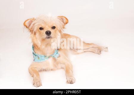 Lifestyle photos at the Dominican Republic Stock Photo - Alamy