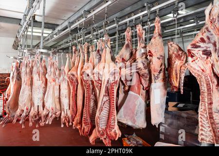 Raw carcasses of beef, pork and lambs hanging in butchery Stock Photo ...