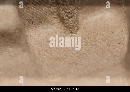 Custom molded cardboard packaging! Stock Photo - Alamy