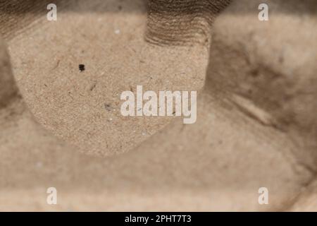 Custom molded cardboard packaging! Stock Photo - Alamy