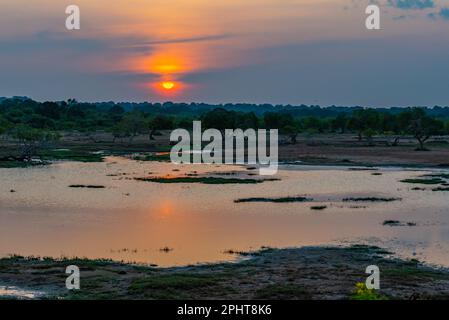 Marshes at Bundala national park in Sri Lanka Stock Photo - Alamy
