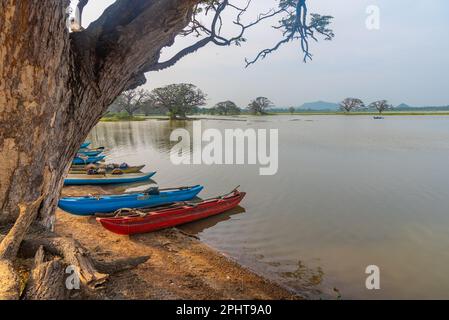 Fishing boats at Tissa Weva lake at Sri Lanka Stock Photo - Alamy