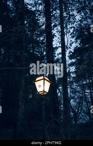 Night image of streetlights of the Pena National Palace in Sintra ...