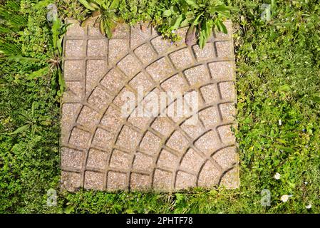 Fresh green grass and grey tiles outdoors, top view Stock Photo - Alamy