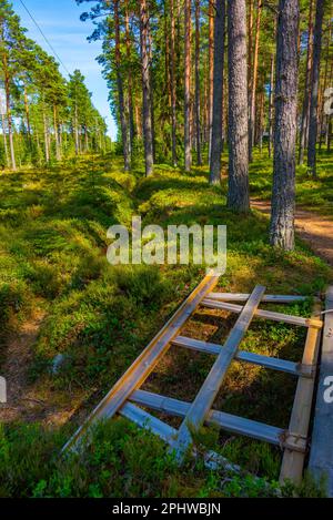 Trenches at Hanko Front Museum in Finland Stock Photo - Alamy