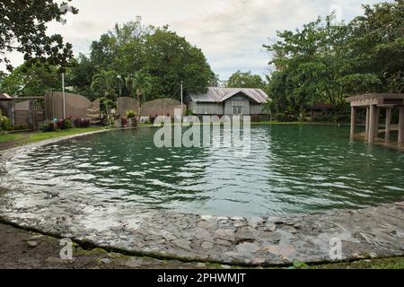 The Soda Water Pool in Camiguin in the Philippines which is surrounded ...
