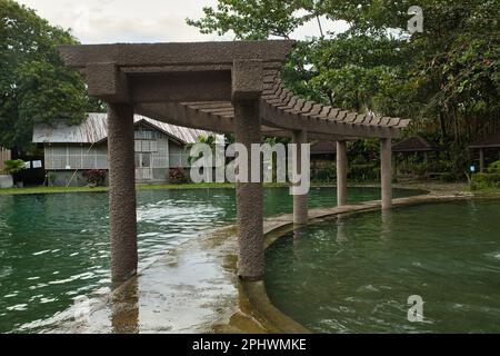 The Soda Water Pool in Camiguin in the Philippines which is surrounded ...