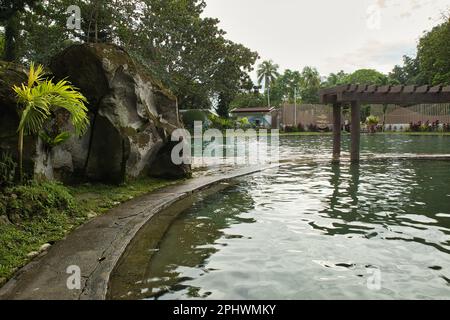The Soda Water Pool in Camiguin in the Philippines which is surrounded ...