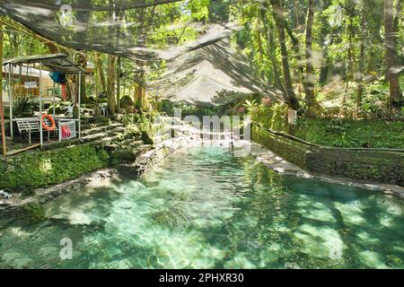 The idyllic Ardent Hot Springs in Camiguin, Philippines, surrounded by ...