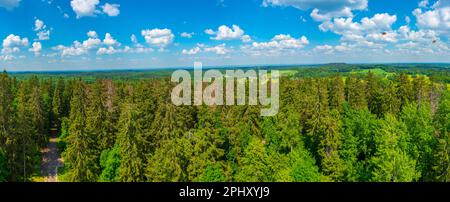 Natural landscape surrounding Suur Munamägi Tower in Estonia Stock ...