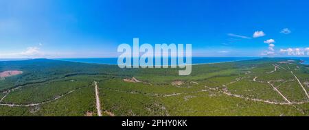 Panorama view of Curonian spit peninsula in Lithuania Stock Photo - Alamy