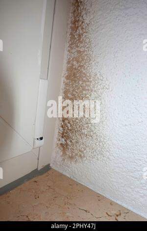 mould on a cold bridge next to the window, Germany Stock Photo - Alamy