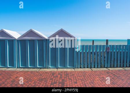 Mid shot of blue beach huts on the sea front Stock Photo - Alamy