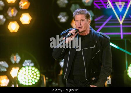 Singer David Hasselhoff performing on stage. 50 years of ZDF Hitparade ...
