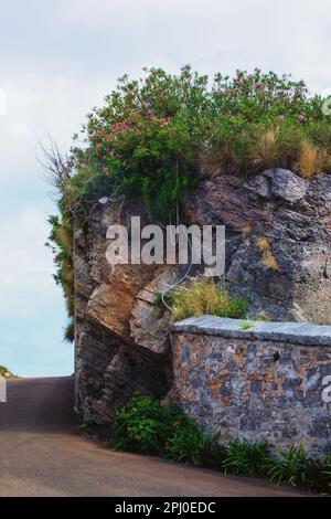 Visiting Bermuda in the Summer is loads of fun Stock Photo - Alamy