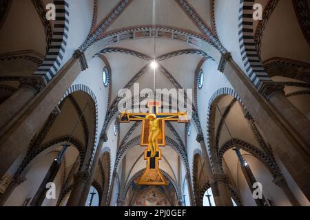 Giotto's Crucifix (1288-90) hanging in Santa Maria Novella, Florence ...