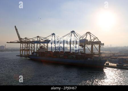 APM Muelle Sur Container Terminal, with Montjuic Castle beyond ...
