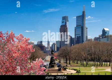 Sakura flowers on a spring day Stock Photo - Alamy