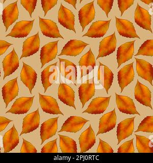 Seamless pattern of Autumn fall leaves,natural branches, colorful herbs ...