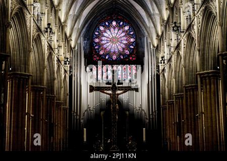 Nidaros Cathedral, cathedral, stained glass, rose window, Trondheim ...