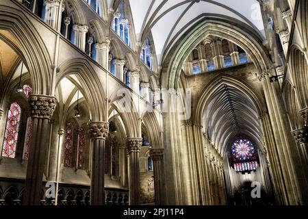 Nidaros Cathedral, cathedral, stained glass, rose window, Trondheim ...