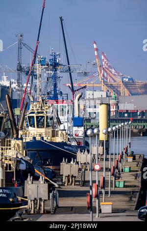 Harbour tugs, tugboats, bowsers, at the pier near the Columbus quay ...