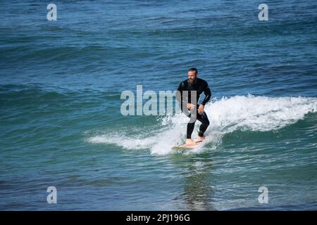 Practising surfing the waves on a quiet day at Yanchep Beach, Perth ...