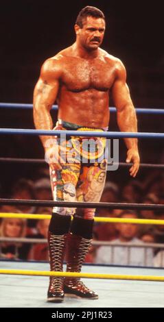 1988 Rick Rude Photo by John Barrett/PHOTOlink Stock Photo - Alamy