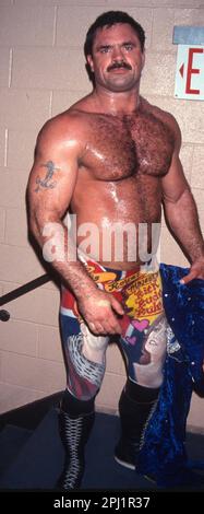 1988 Rick Rude Photo by John Barrett/PHOTOlink Stock Photo - Alamy
