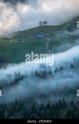 A farm in the distance surrounded by fog Stock Photo - Alamy