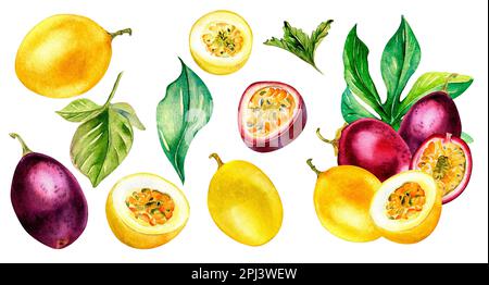 Set of passion fruit ice cream watercolor illustration isolated on ...