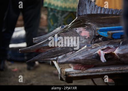 Close-up of Giant Marlin, swordfish at Seafood market Stock Photo - Alamy