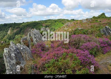 The Liscuis moor in Brittany Stock Photo - Alamy