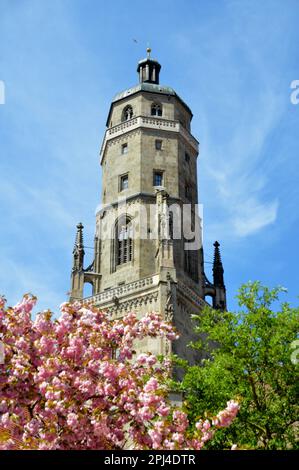 Germany, Bavaria, Swabia, Nördlingen: tower of St. Georges Church ...