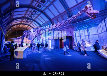 Patagotitan Dinosaur Skeleton on Display Stock Photo - Alamy