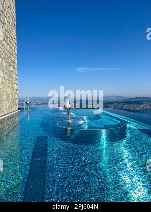 Infinity Swimming Pool with Mountain and Lake Lucerne View in a Sunny ...