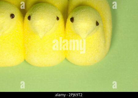 Yellow Peeps Easter candy in a row Stock Photo - Alamy