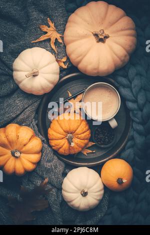 Cozy autumn flat lay with pumpkins, plaid and autumn leaves on tile ...
