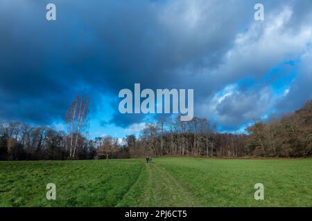 Brighton, November 26th 2017: Walking in Staplefield with Stuart and ...