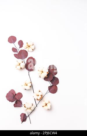 A full-frame shot of eucalyptus flowers Stock Photo - Alamy