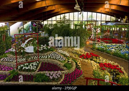 Flower Hall of Wiesmoor, East Frisia, Aurich County, Germany Stock ...