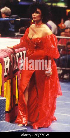 1987 Sherri Martel Photo by John Barrett/PHOTOlink Photo via Credit ...